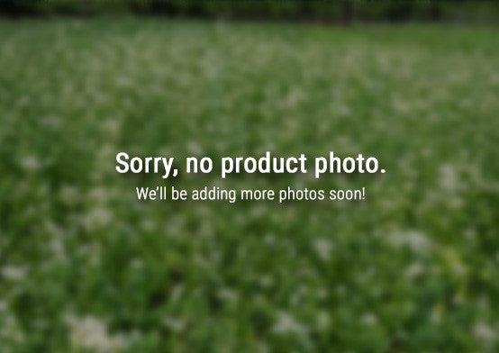 Marshall Annual Ryegrass | PetcherSeeds | (251) 827-6594